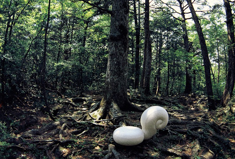 Soft sculpture Squirrel | Tomoko Konoike Official Site | 鴻池朋子 オフィシャルサイト