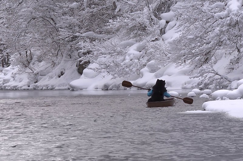 Moon Bear Goes Upstream video works | Tomoko Konoike Official Site | 鴻池 ...